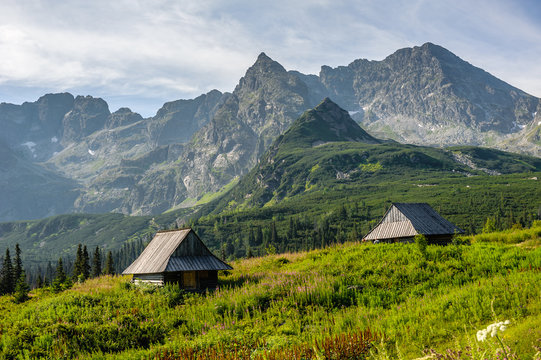 Domek Images – Browse 63 Stock Photos, Vectors, and Video | Adobe Stock