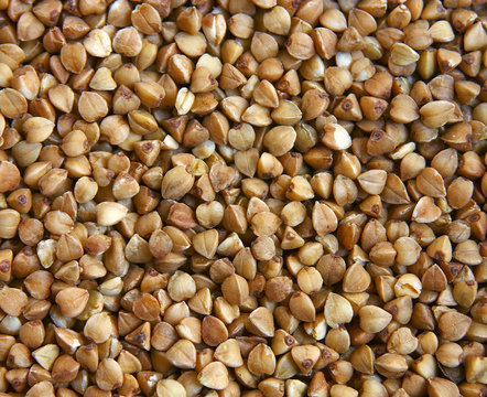 Alforfon 이미지 – 찾아보기 17 스톡 사진, 벡터 및 비디오 | Adobe Stock