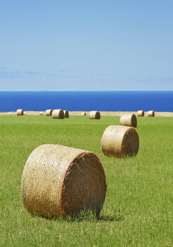 「Heurolle」の画像 - 192 件の Stock 写真、ベクターおよびビデオ | Adobe Stock
