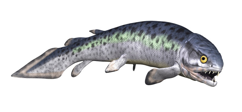 Rhizodus Images – Browse 41 Stock Photos, Vectors, and Video | Adobe Stock