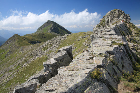 Bequadro 画像 - 参照 274 Stock 写真、ベクターおよびビデオ | Adobe Stock