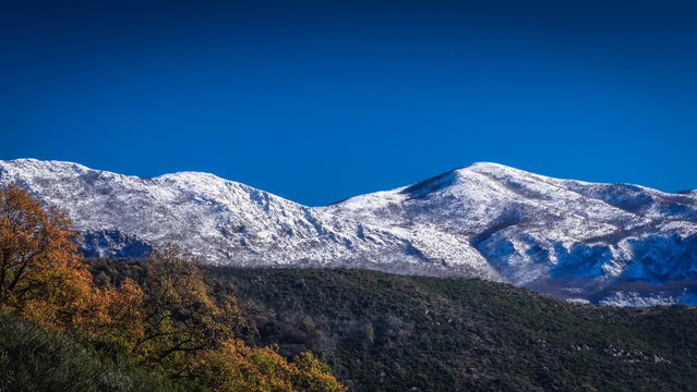 Pastrovici Images – Browse 1 Stock Photos, Vectors, and Video | Adobe Stock