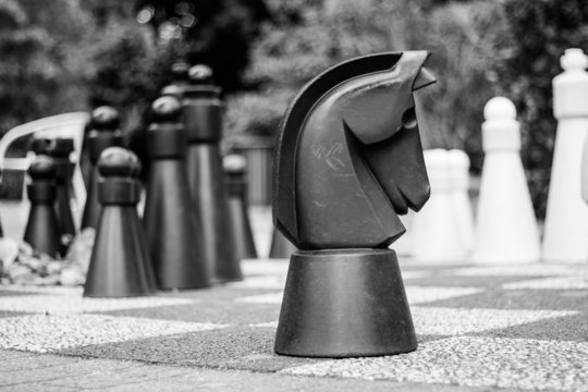 Schachmatt Bilder – Durchsuchen 79,447 Archivfotos, Vektorgrafiken und ...