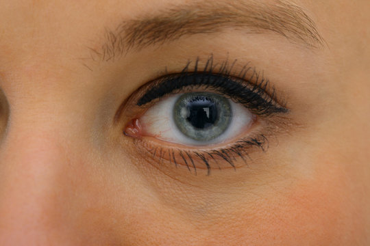 Imágenes de Oko: descubre bancos de fotos, ilustraciones, vectores y ...