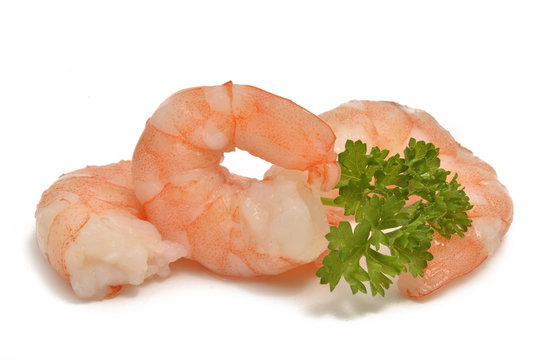 "Queen Prawns" Bilder – Durchsuchen 128,286 Archivfotos, Vektorgrafiken ...