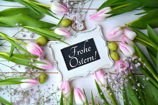 รูปภาพOsterblumen – เลือกดูภาพถ่ายสต็อก เวกเตอร์ และวิดีโอ3,293 | Adobe ...