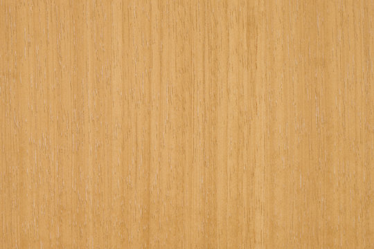 Imágenes de Caobilla: descubre bancos de fotos, ilustraciones, vectores ...