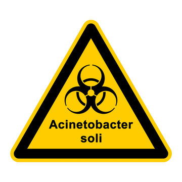 Wso138 Images – Browse 1 Stock Photos, Vectors, and Video | Adobe Stock