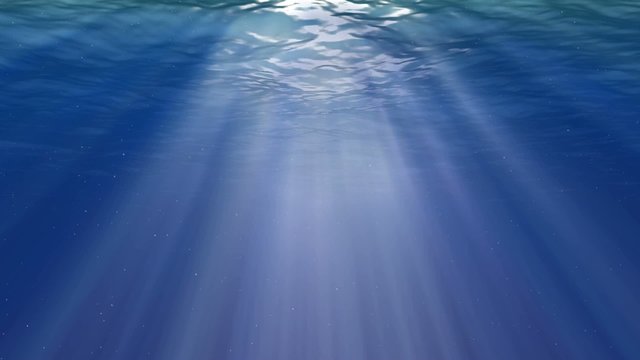 Imágenes de Oceaniczny: descubre bancos de fotos, ilustraciones ...