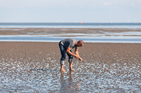 รูปภาพMudflat – เลือกดูภาพถ่ายสต็อก เวกเตอร์ และวิดีโอ61,435 | Adobe Stock