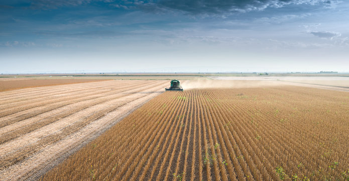 รูปภาพMonoculture – เลือกดูภาพถ่ายสต็อก เวกเตอร์ และวิดีโอ36,181 ...