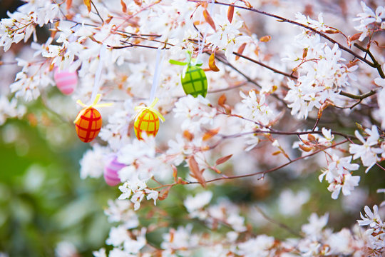 Ostereierbaum Bilder – Durchsuchen 3,635 Archivfotos, Vektorgrafiken ...