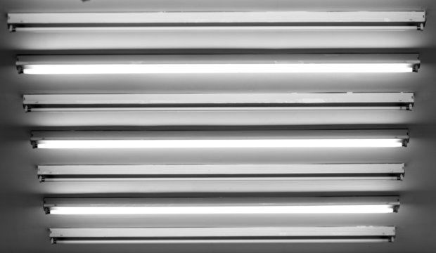 "Fluorescent Light" Images – Browse 36,811 Stock Photos, Vectors, and ...