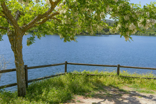 Azibo Images – Browse 148 Stock Photos, Vectors, and Video | Adobe Stock