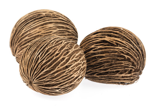 Tangena Images – Browse 174 Stock Photos, Vectors, and Video | Adobe Stock