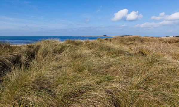 Santec Images – Browse 83 Stock Photos, Vectors, and Video | Adobe Stock