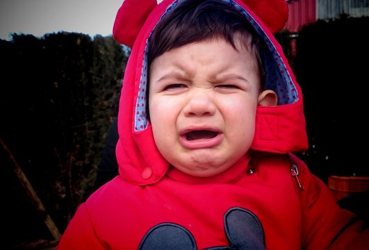 รูปภาพLlorando – เลือกดูภาพถ่ายสต็อก เวกเตอร์ และวิดีโอ379 | Adobe Stock