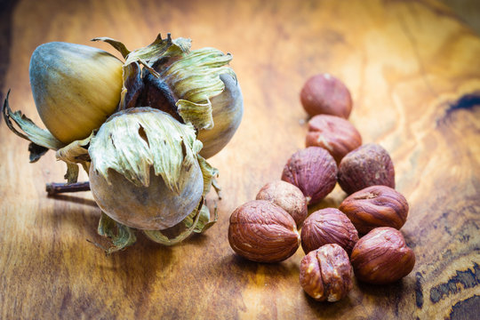 รูปภาพFilbert – เลือกดูภาพถ่ายสต็อก เวกเตอร์ และวิดีโอ80,039 | Adobe Stock