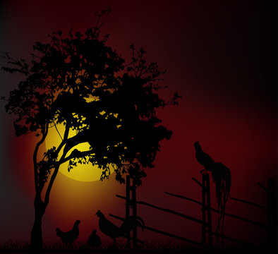 34 BEST Femce IMAGES, STOCK PHOTOS & VECTORS | Adobe Stock