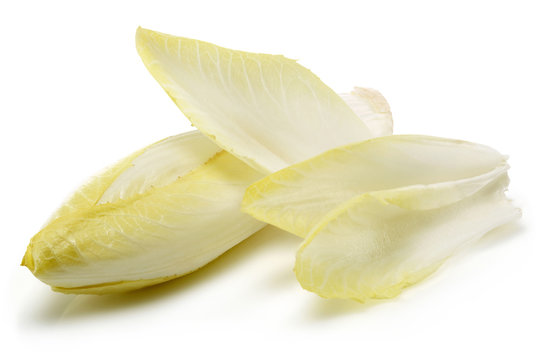 Endivien Bilder – Durchsuchen 15,951 Archivfotos, Vektorgrafiken und ...