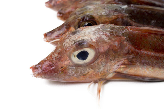 Perlon Images – Browse 37 Stock Photos, Vectors, and Video | Adobe Stock