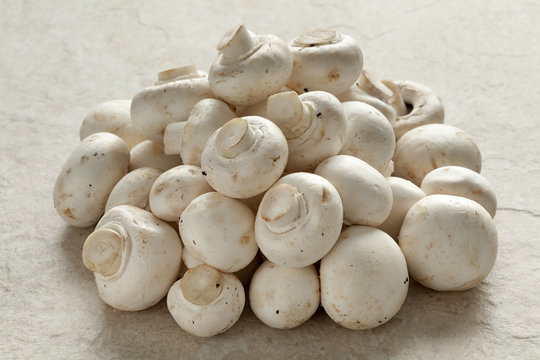 Champignons Billeder – Gennemse 174,925 stockfotos, vektorer og videoer ...
