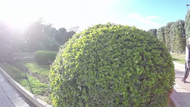 รูปภาพLightern – เลือกดูภาพถ่ายสต็อก เวกเตอร์ และวิดีโอ25 | Adobe Stock