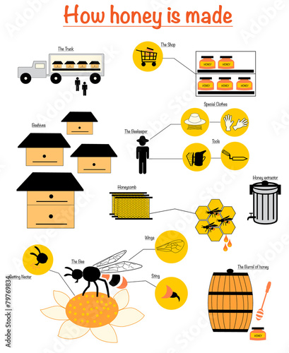 "Set of icons how honey is made, all process how produce honey in ...