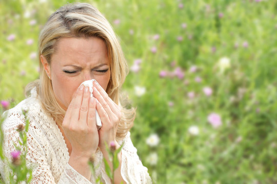 ..Heuschnupfen Images – Browse 5,921 Stock Photos, Vectors, and Video ...