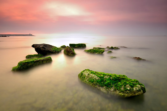 Morrongo Images – Browse 68 Stock Photos, Vectors, and Video | Adobe Stock