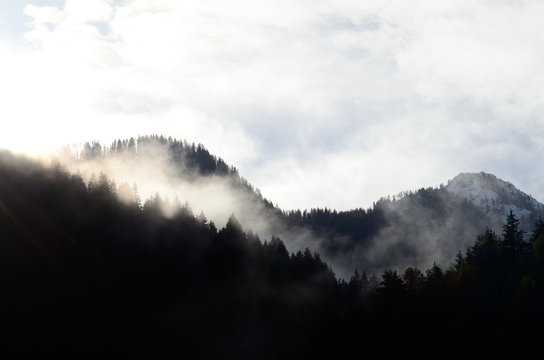 Faticare Bilder – Durchsuchen 385 Archivfotos, Vektorgrafiken und ...