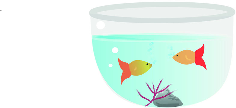 「Branchie」の画像 - 332 件の Stock 写真、ベクターおよびビデオ | Adobe Stock