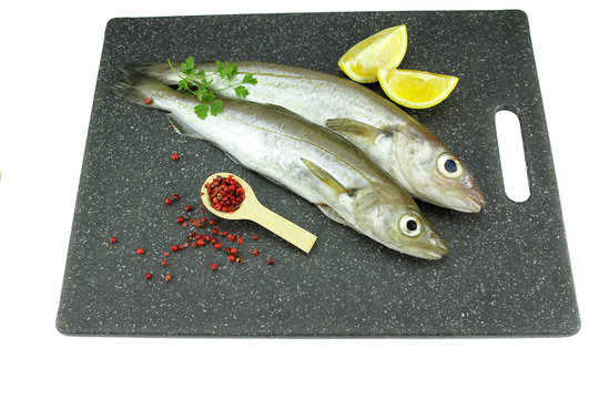 Afbeeldingen over Merlan – Blader in stockfoto's, vectoren en video's ...