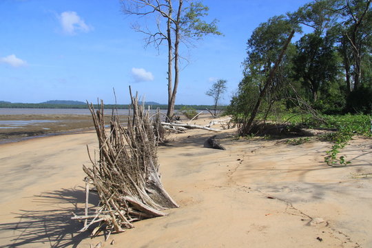 Libertée - Images et vidéos libres de droits | Adobe Stock