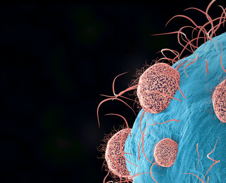 Electron Microscopy Images – Browse 2,016 Stock Photos, Vectors, and ...