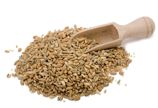 Zerealien Bilder – Durchsuchen 995 Archivfotos, Vektorgrafiken und ...