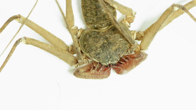 Tendarapo - Images et vidéos libres de droits | Adobe Stock