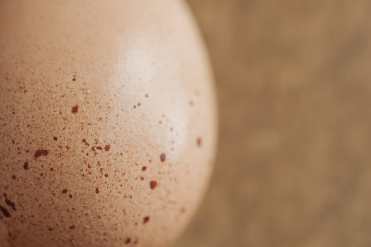 Egg Shell Texture Images – Browse 29,918 Stock Photos, Vectors, and ...