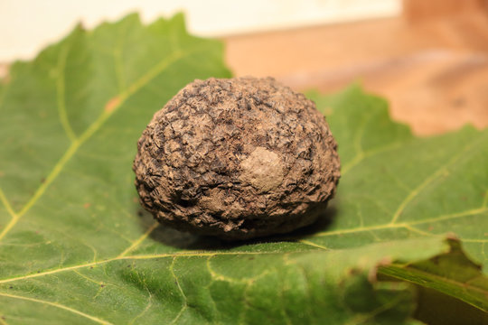 "Derrata Alimentare" bilder – Bläddra bland 30 stockfoton, vektorer och ...