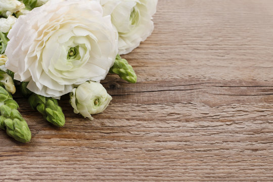 Mathiola Bilder – Durchsuchen 2,283 Archivfotos, Vektorgrafiken und ...