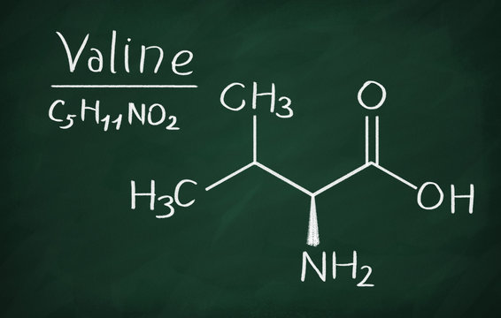 รูปภาพValines – เลือกดูภาพถ่ายสต็อก เวกเตอร์ และวิดีโอ967 | Adobe Stock