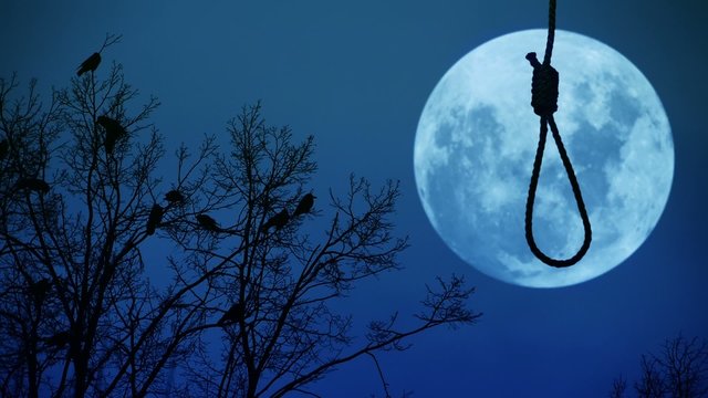 Hanging Noose Images – Browse 7,916 Stock Photos, Vectors, and Video ...