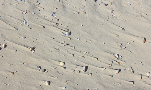 Bequadro 画像 - 参照 274 Stock 写真、ベクターおよびビデオ | Adobe Stock