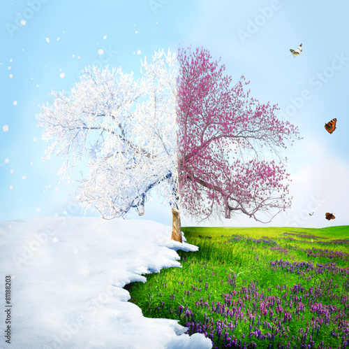 "Season change from winter to spring" Stock photo and royalty-free ...