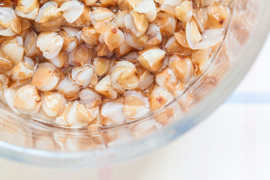 Toreen Images – Browse 1 Stock Photos, Vectors, and Video | Adobe Stock