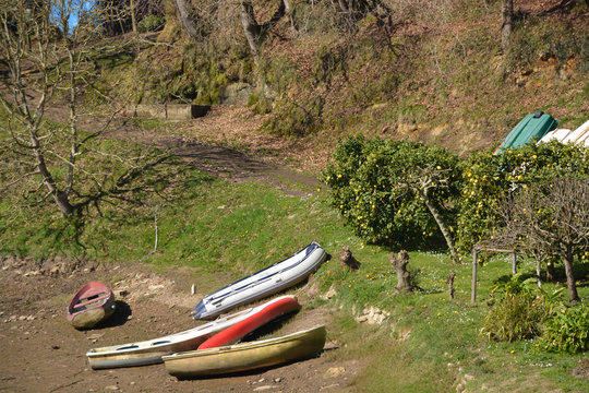 รูปภาพEncallar – เลือกดูภาพถ่ายสต็อก เวกเตอร์ และวิดีโอ70 | Adobe Stock