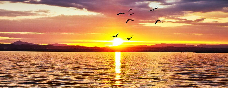 Imágenes de Mar: descubre bancos de fotos, ilustraciones, vectores y ...