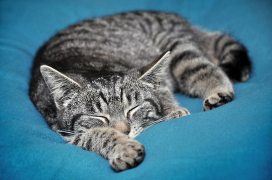 รูปภาพChillig – เลือกดูภาพถ่ายสต็อก เวกเตอร์ และวิดีโอ773 | Adobe Stock