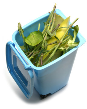 รูปภาพSclopit – เลือกดูภาพถ่ายสต็อก เวกเตอร์ และวิดีโอ41 | Adobe Stock