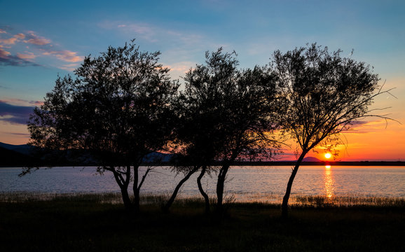 Imagens de Rabisha – Explore Fotografias do Stock, Vetores e Vídeos de ...